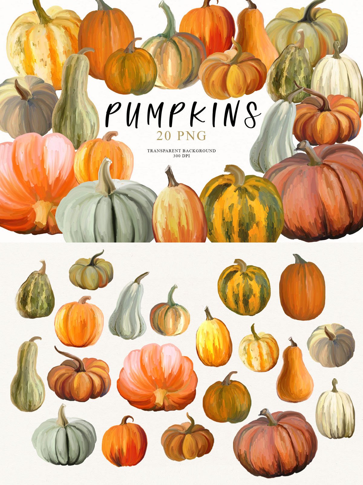 Autumn pumpkins clipart PNG, Thanksgiving day harvest set