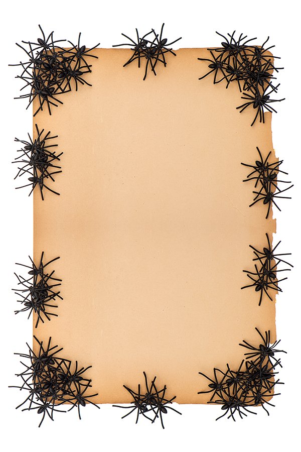 Paper background with black spider. Halloween decoration
