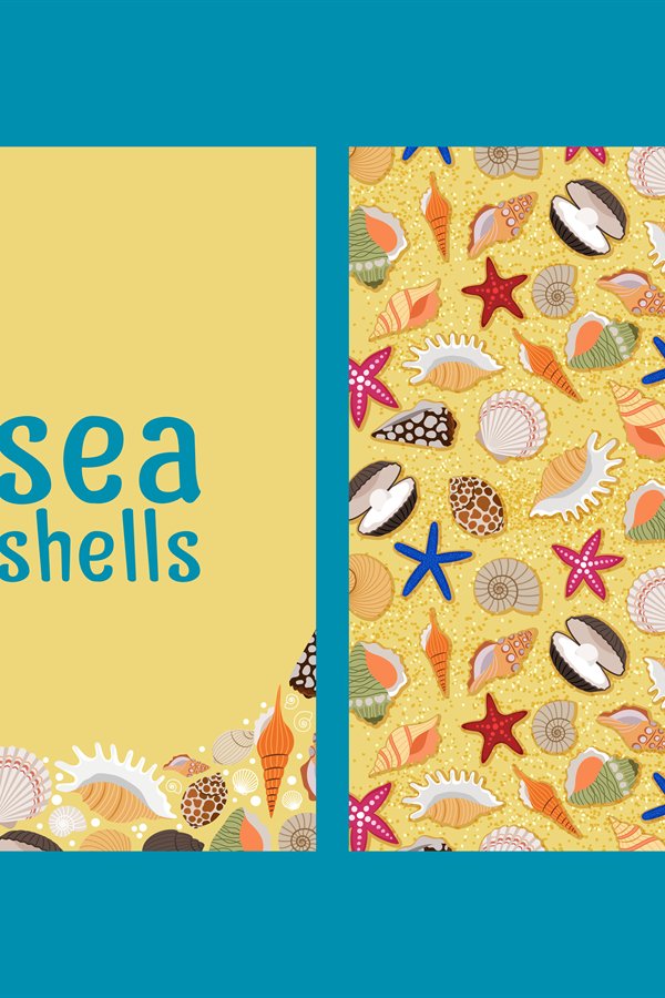 Sea shells vector flyers or brochures