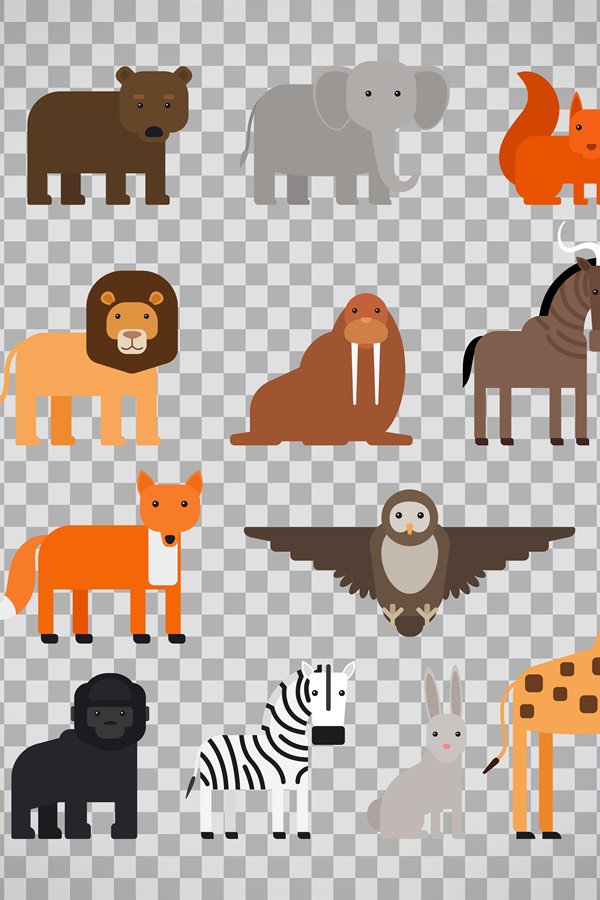 Zoo animals set on transparent background