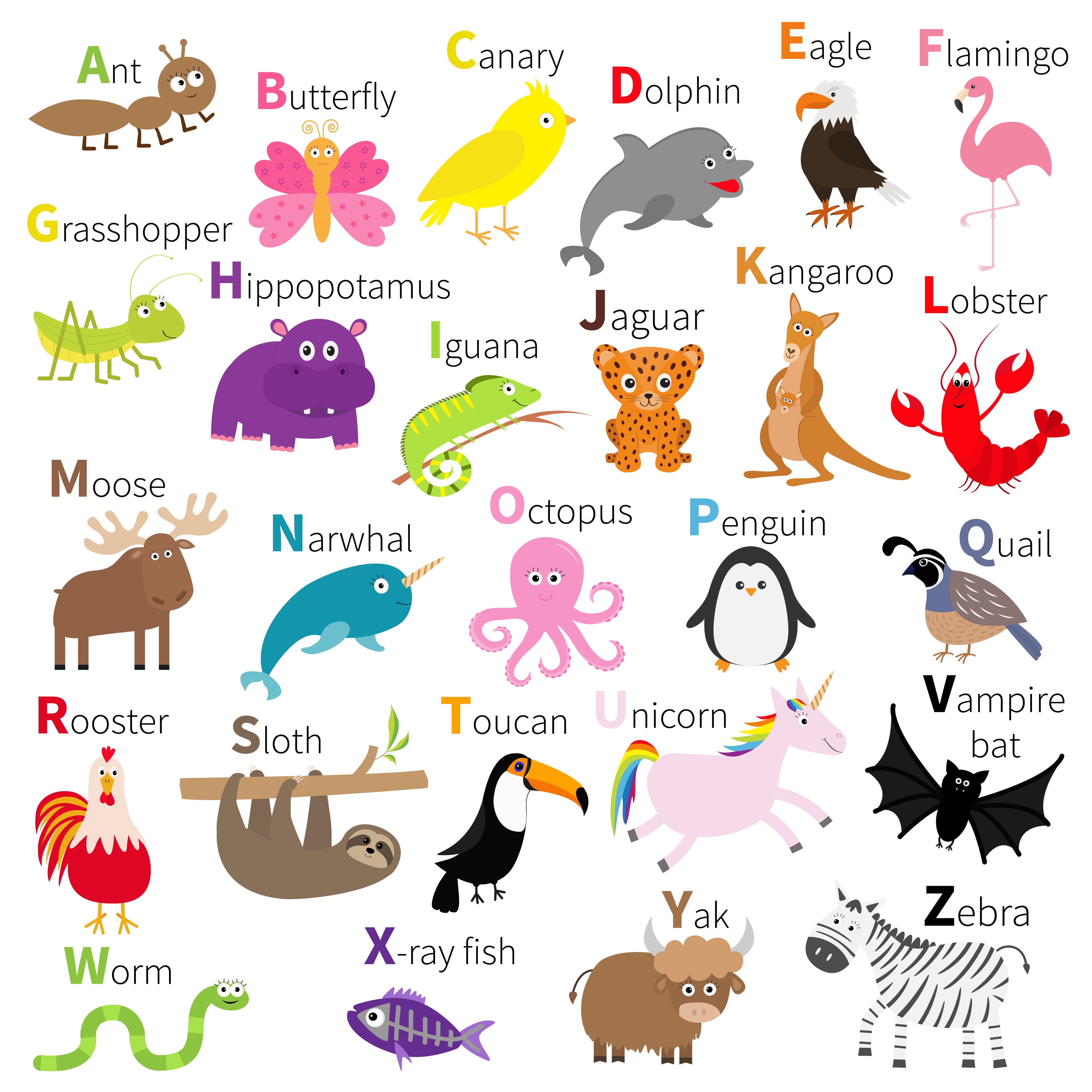 Cute animal alphabet. (945161)