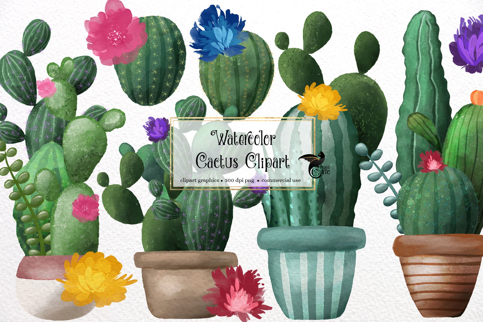 Watercolor Cactus Clipart (987991)