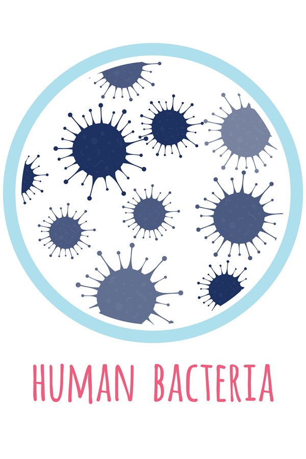Vector template of human bacteria