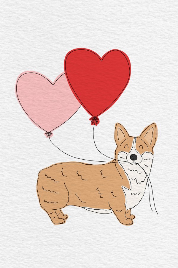 Corgi With Heart Shaped Balloons PNG Clipart Illustration