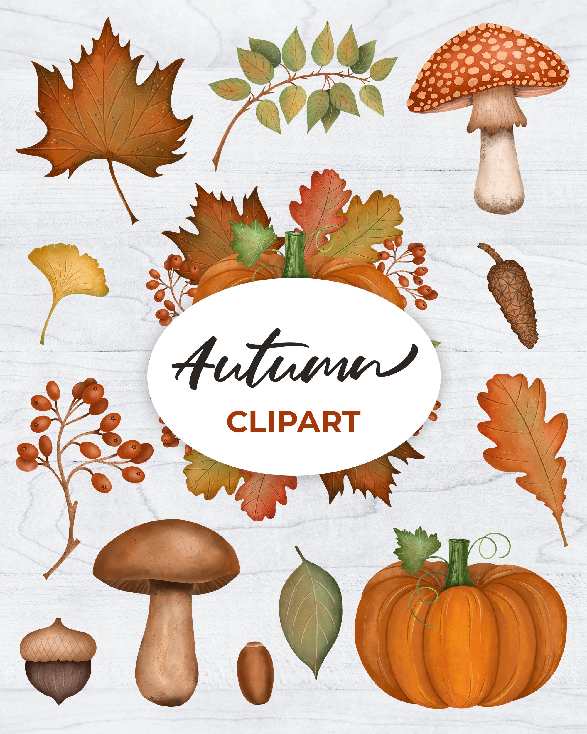 Autumn clipart png Illustration