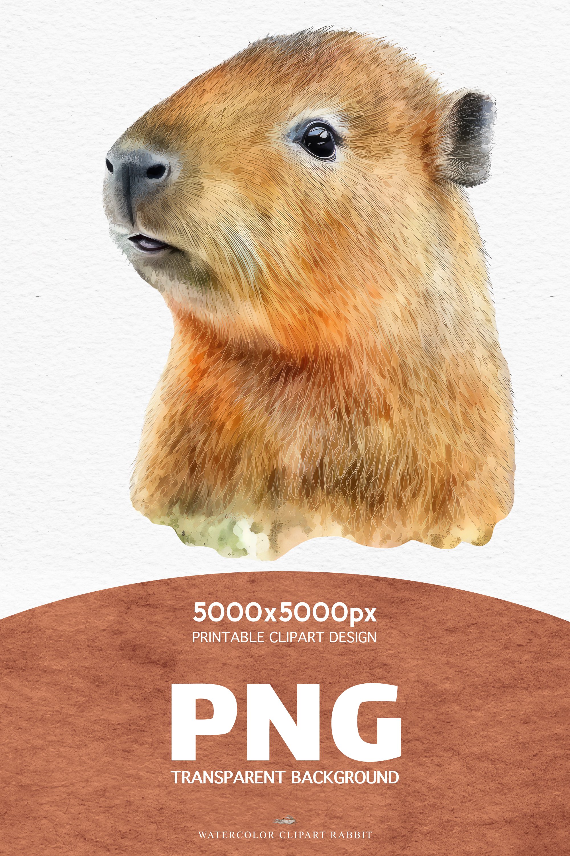 Watercolor Capybara Forest Animals Clipart PNG Illustration