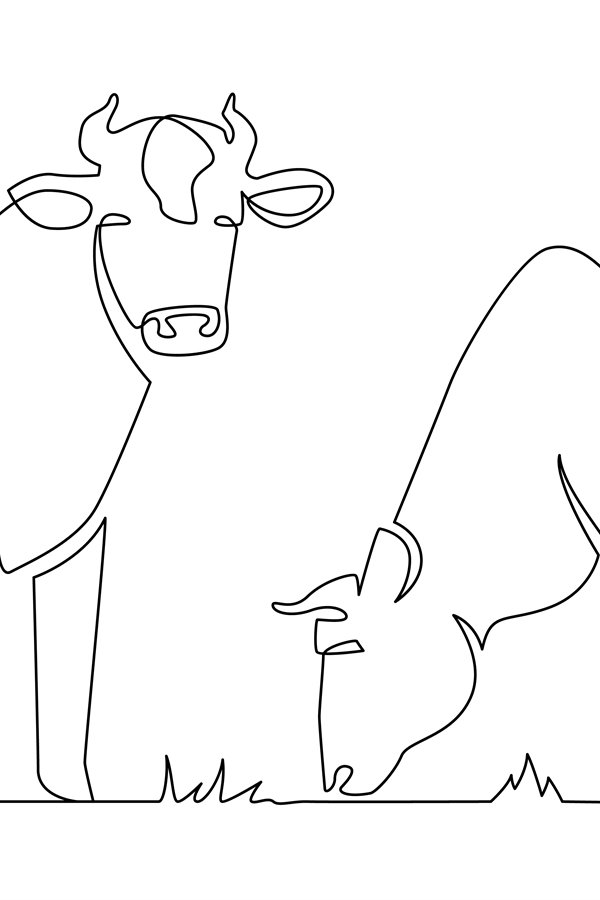 One line cows. Milk cow animal, livestock and beef meat and