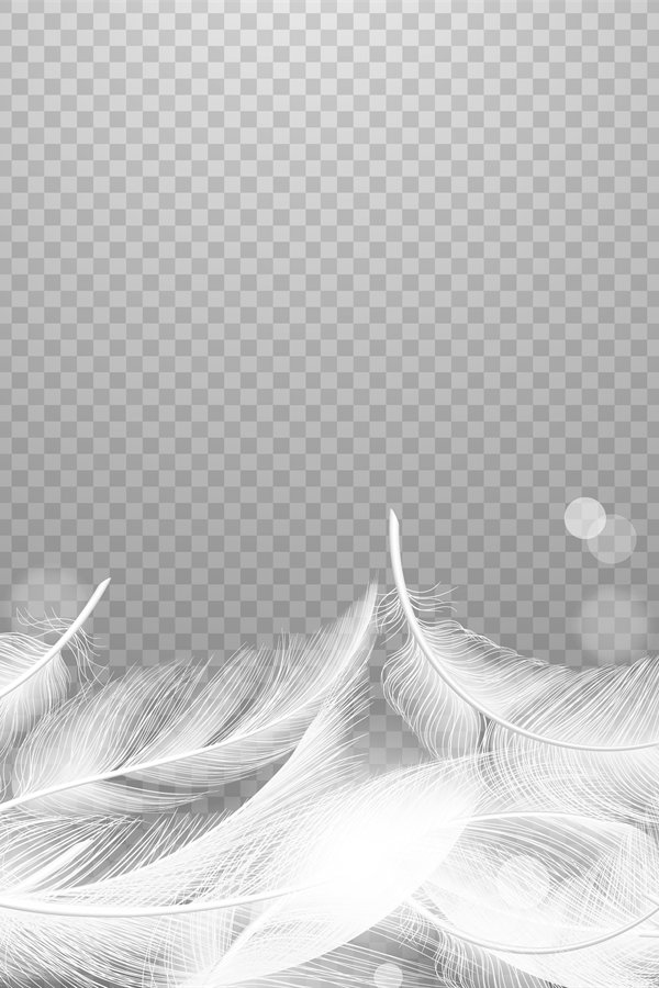 Falling feathers vector. Realistic floating white feathers i