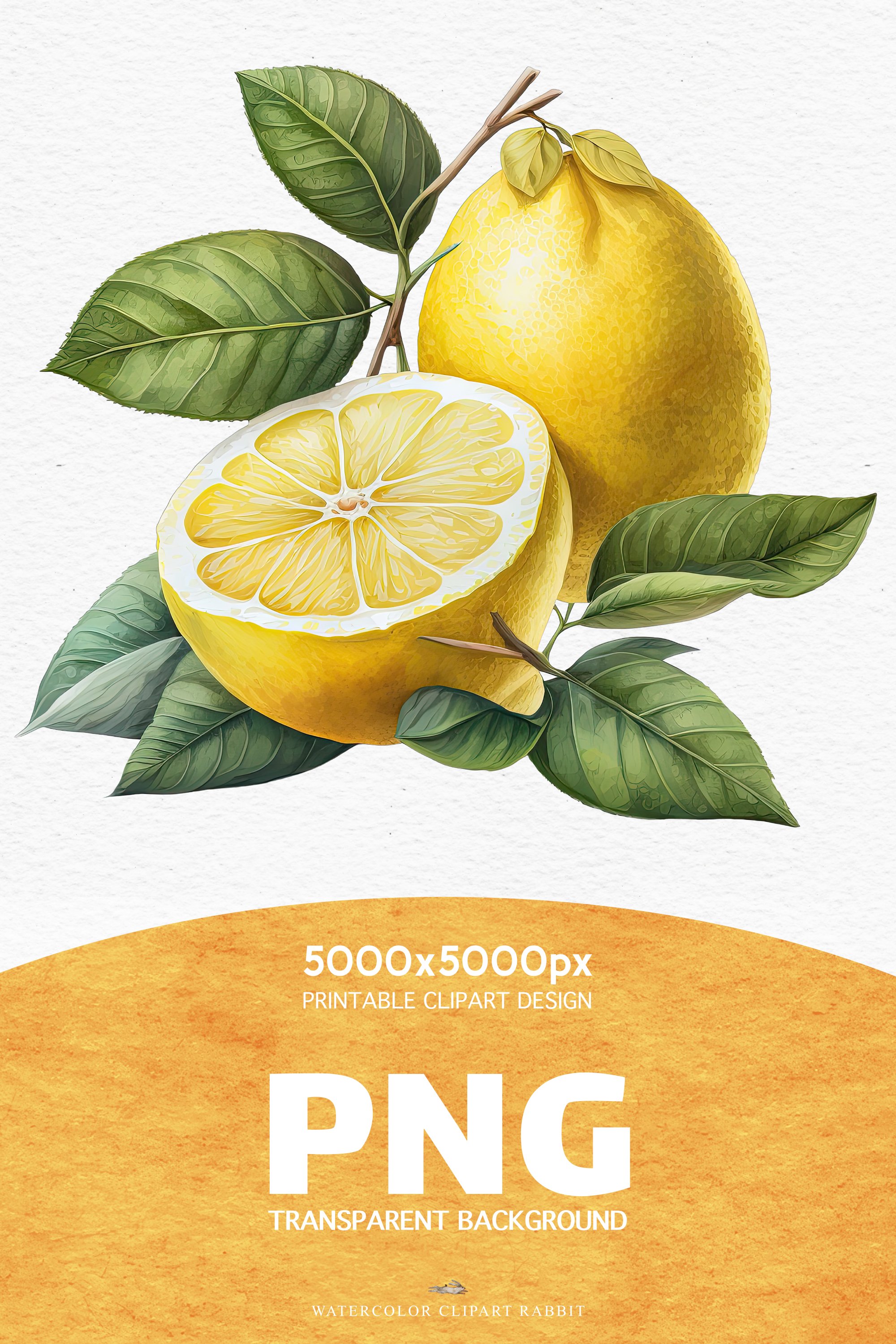 Cold Lemonade Summer Drinks Lemon Berries Clipart PNG image