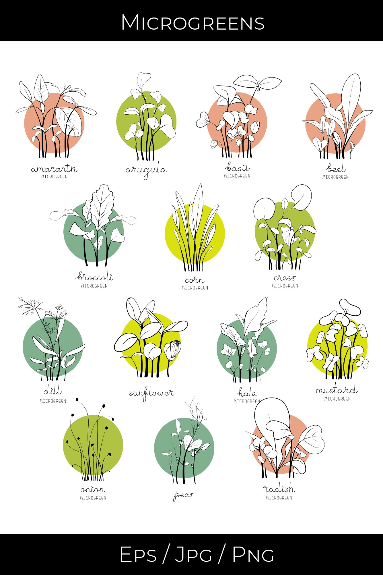 Microgreen sketch vector art. Green for home (1410307)