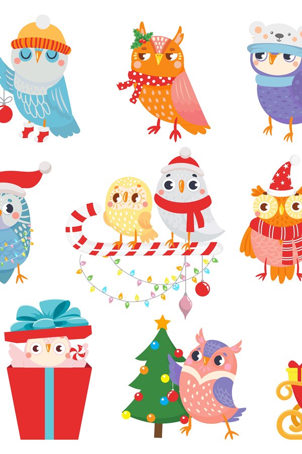 Winter owl. Cute christmas birds, owls in scarf and hat and