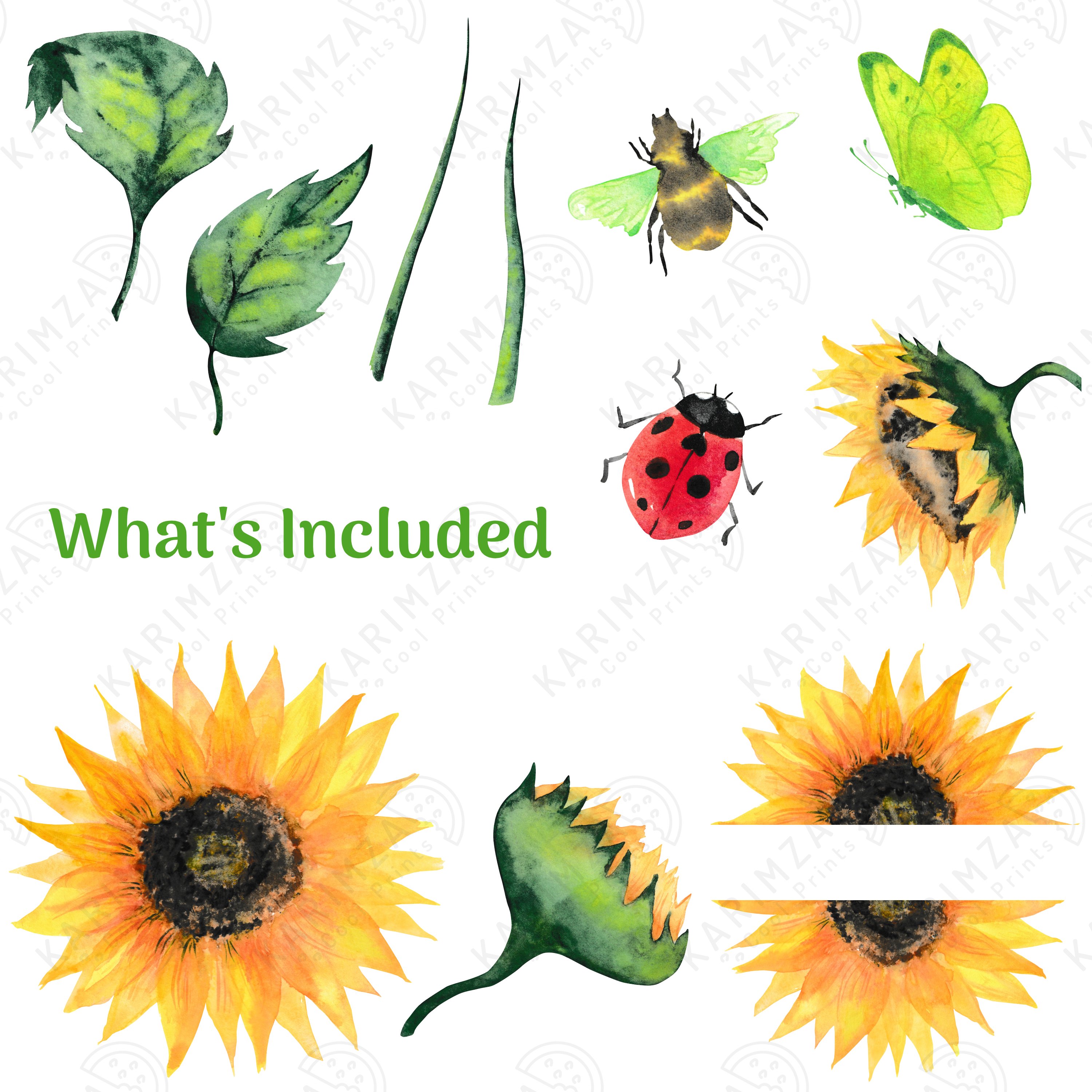 SUNFLOWER WATERCOLOR CLIPART, PNG Bundle, Summer (685592)