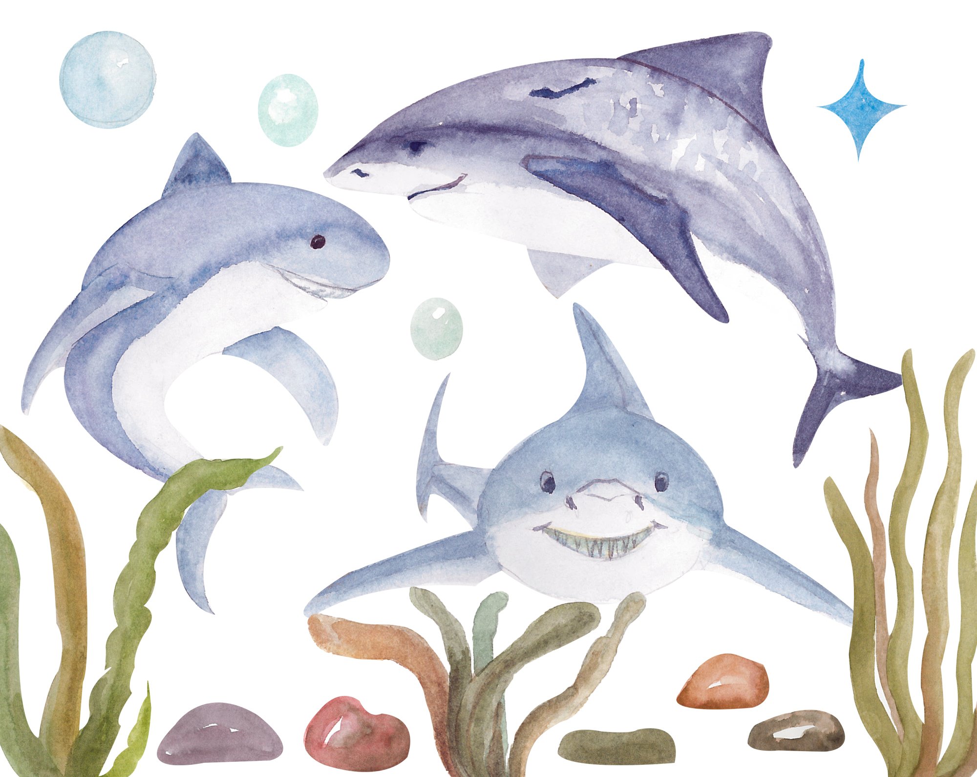 Baby shark clipart, Watercolor family clip art