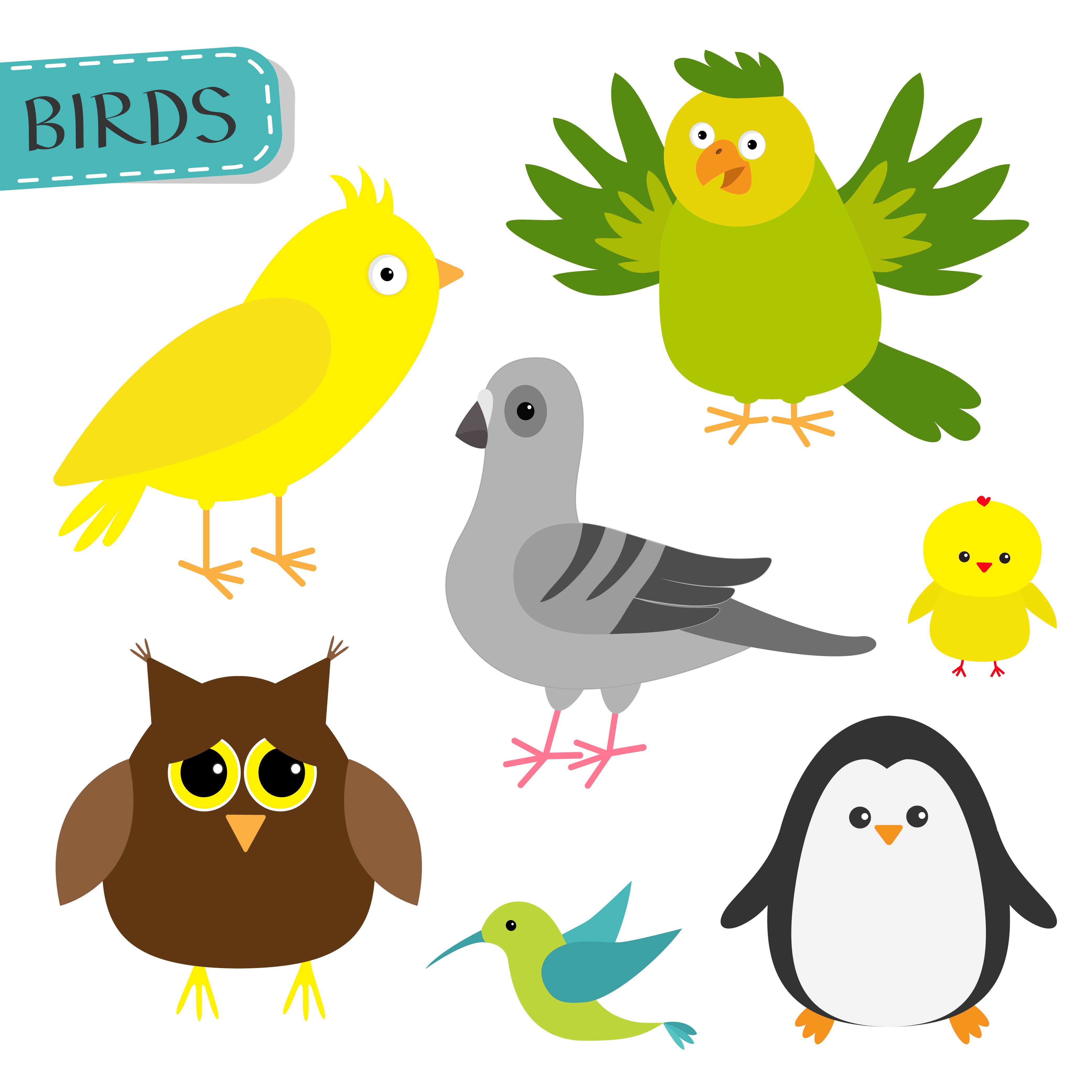 Cute cartoon bird set. Vector illustration