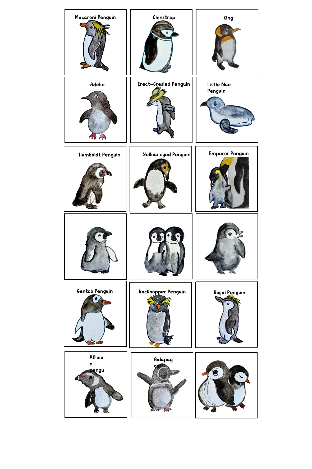 penguin types watercolour clipart and flashcards