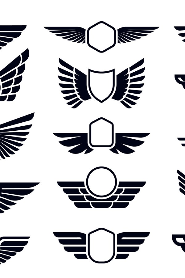 Winged frames. Flying bird shield emblem, eagle wings badge