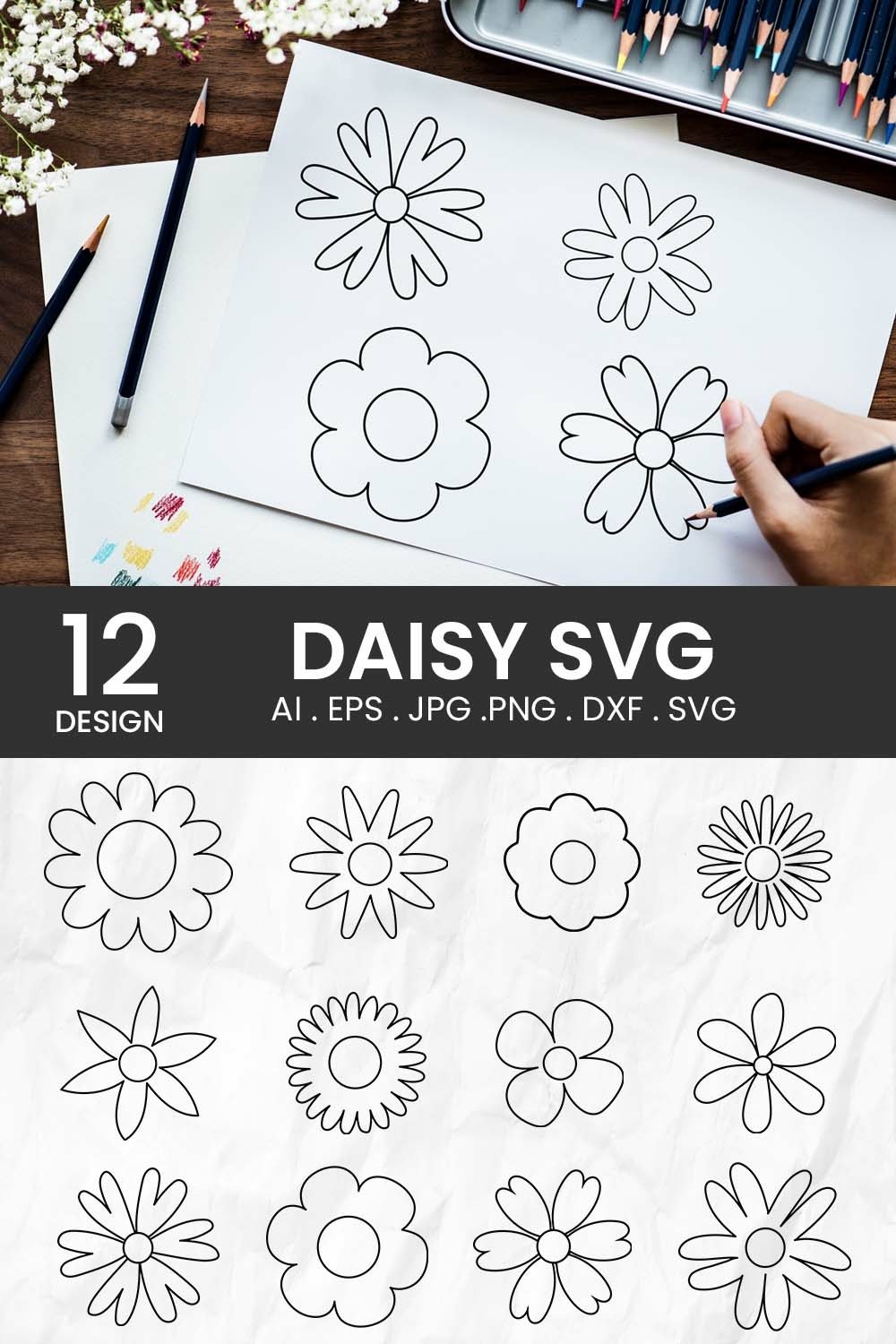 Daisy SVG With 12 Variations