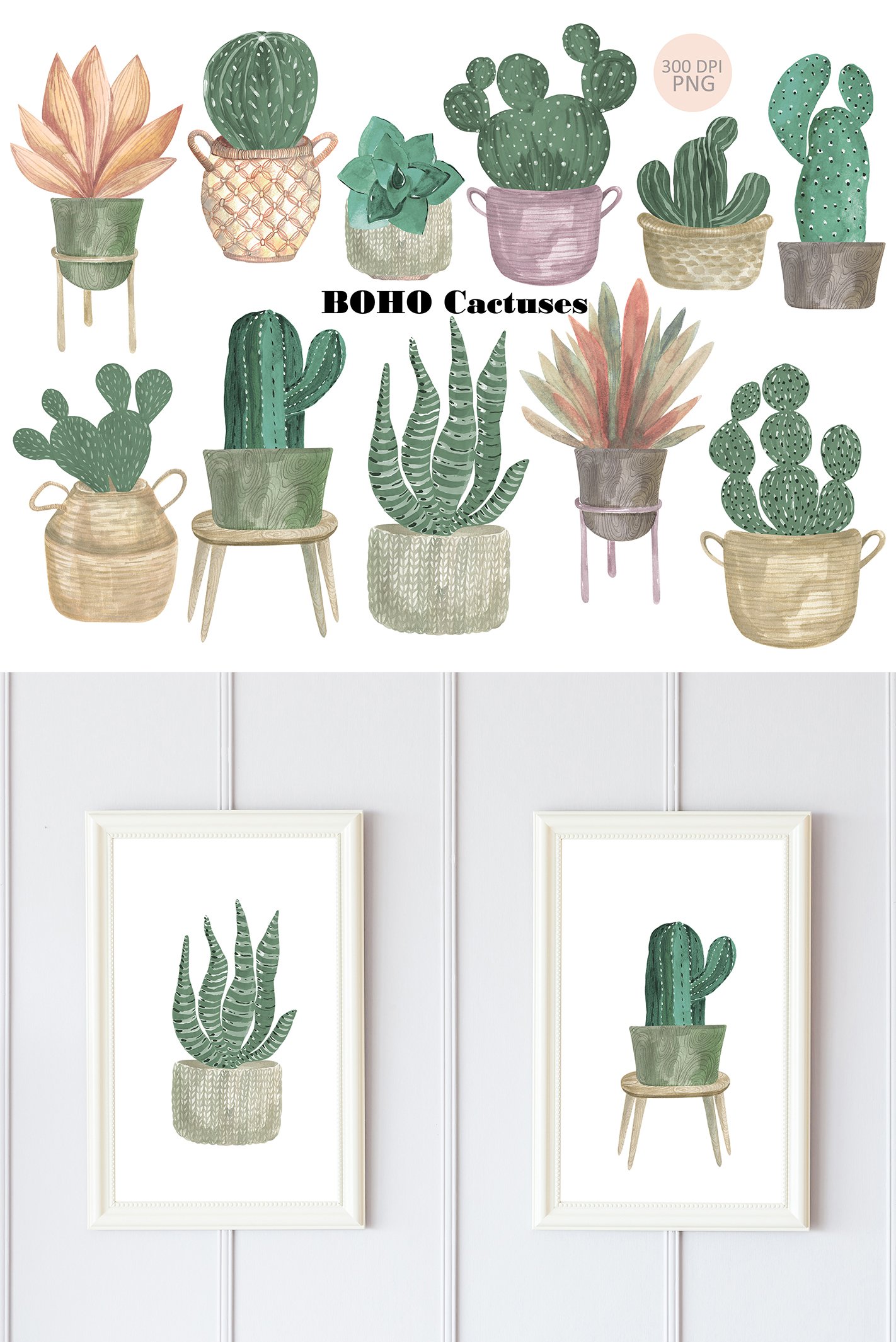 Watercolor plant cactus clipart. Bundle PNG
