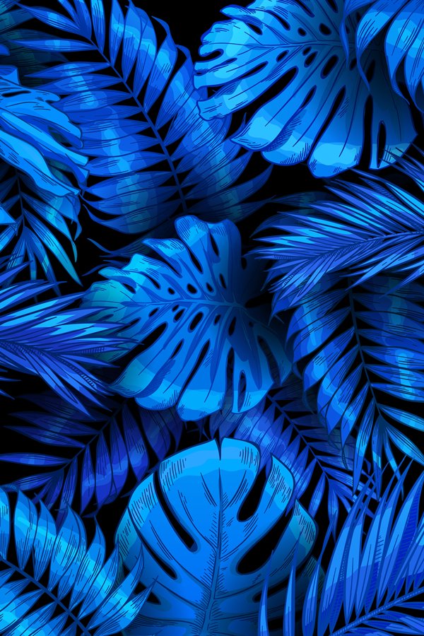 Tropical night background. Exotic blue rainforest leaves, in