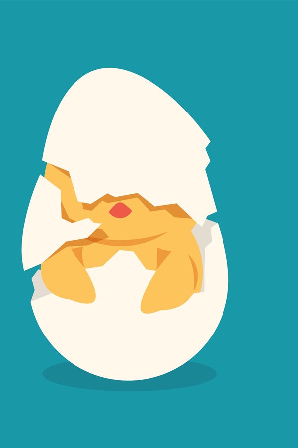 Hatching chicken. Cartoon baby chick birthday step-by-step p