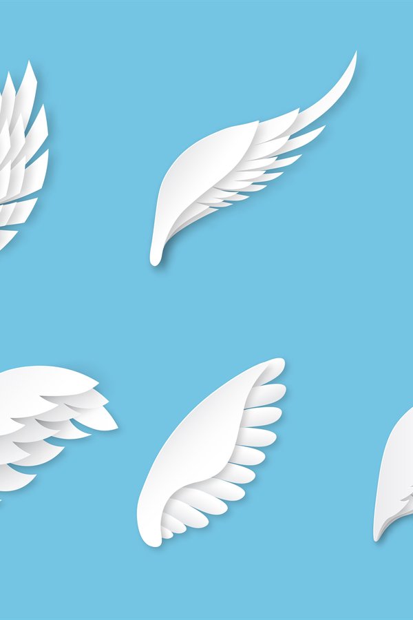 Paper wings. Artificial white different shapes wings decorat