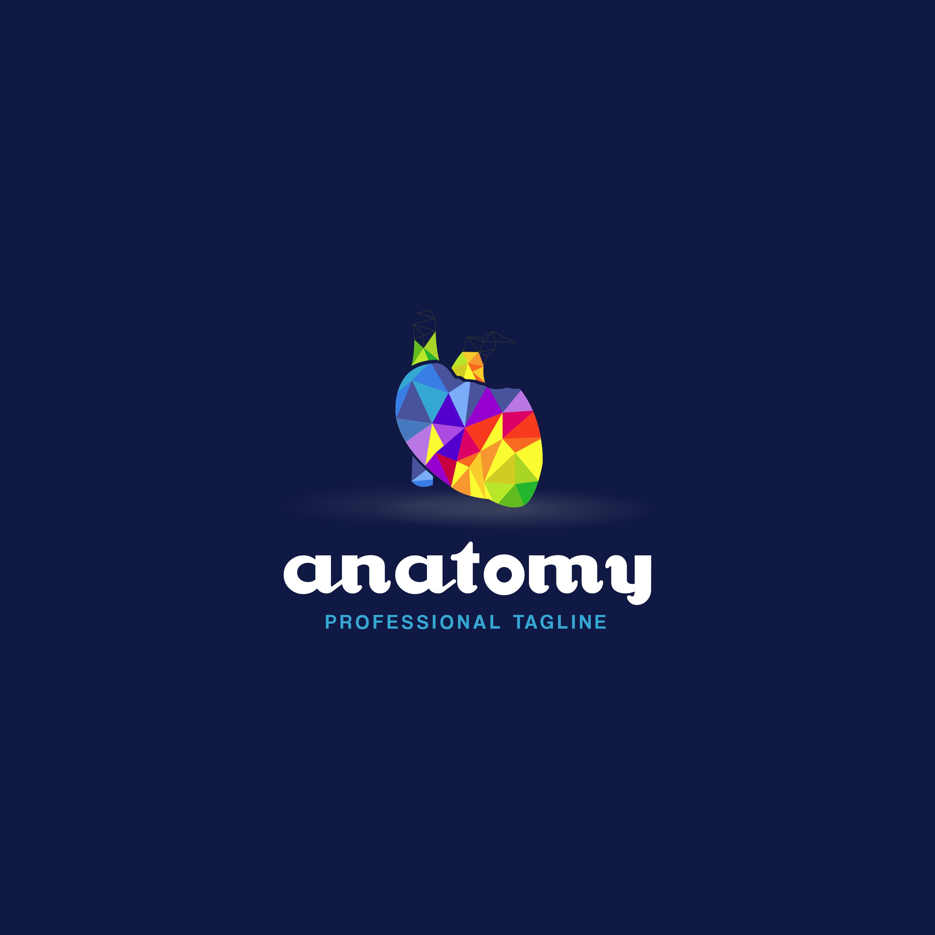 Anatomy Logo Multicolor