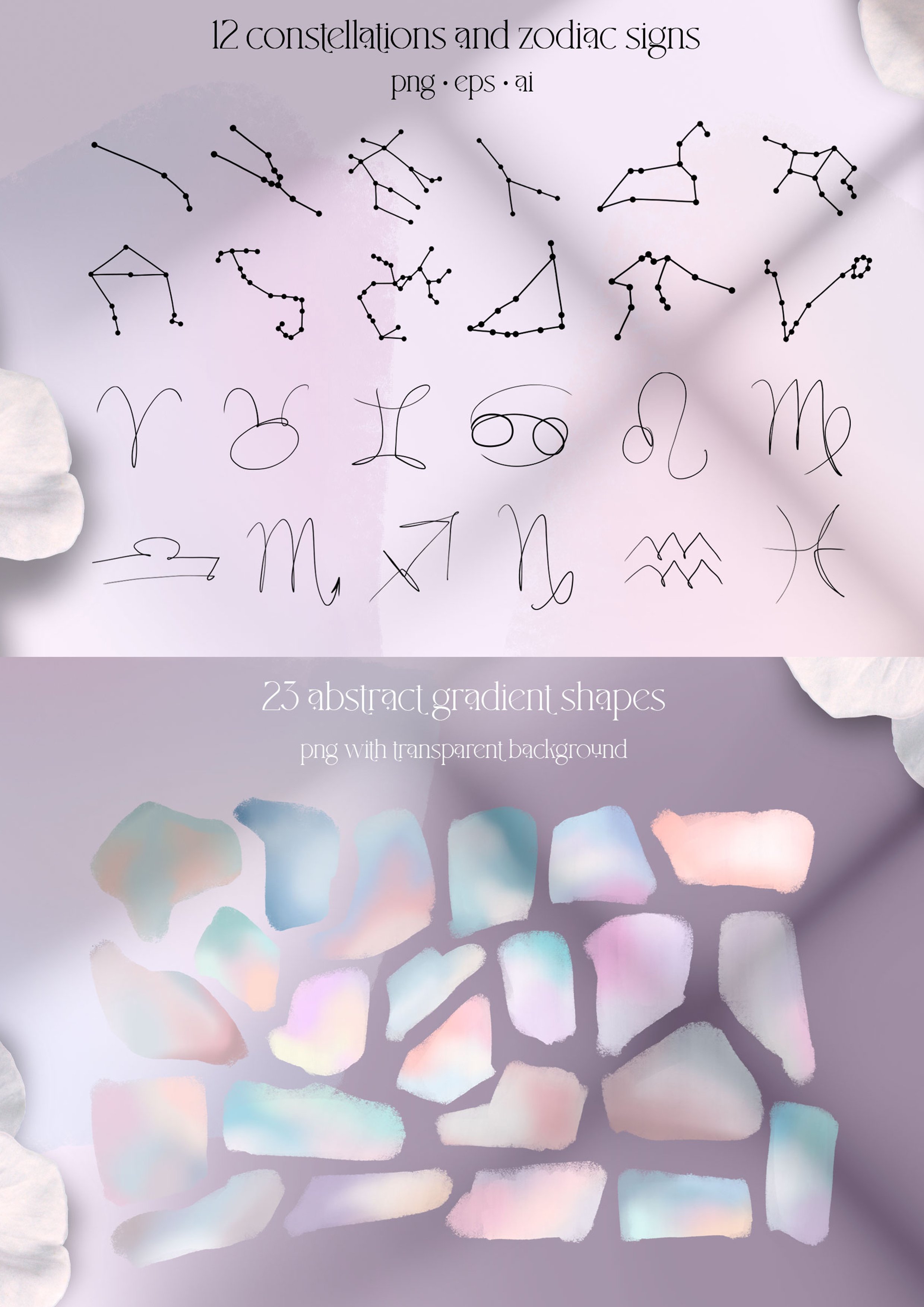 Line art zodiac signs and constellations