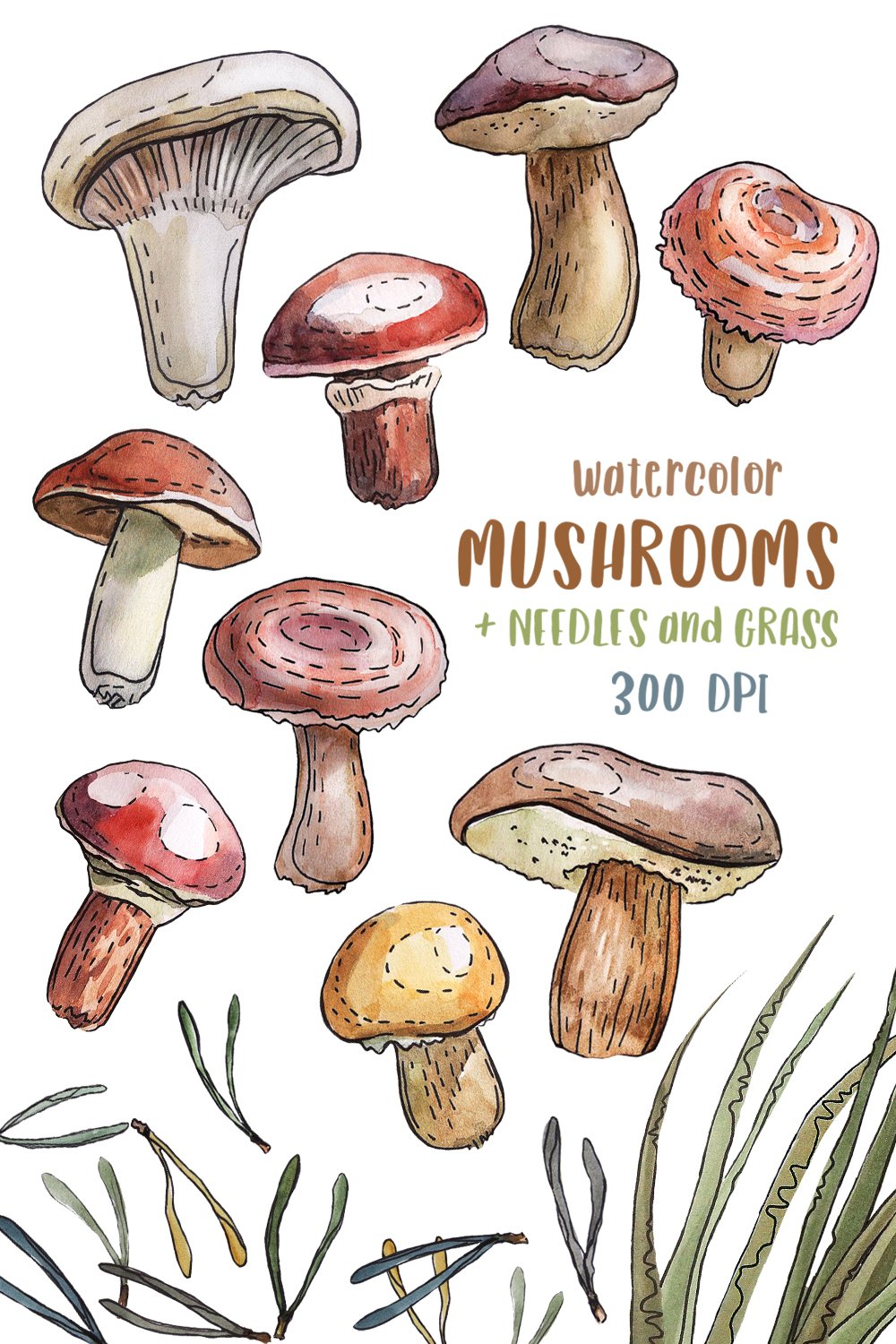 Watercolor mushroom clipart Forest plants illustrations png