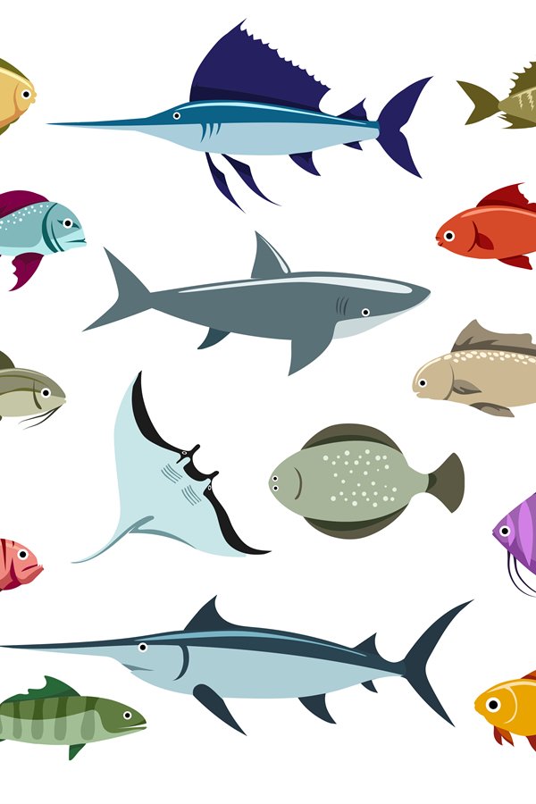Colored fish vector icons