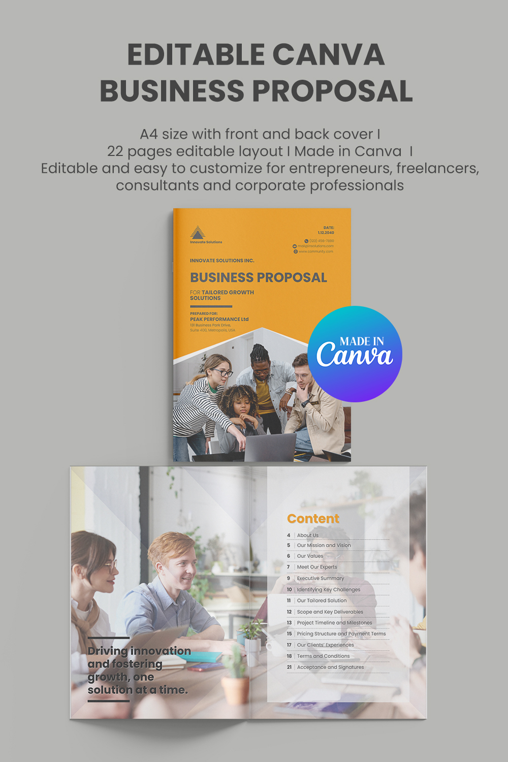 Editable Canva Business Proposal Template