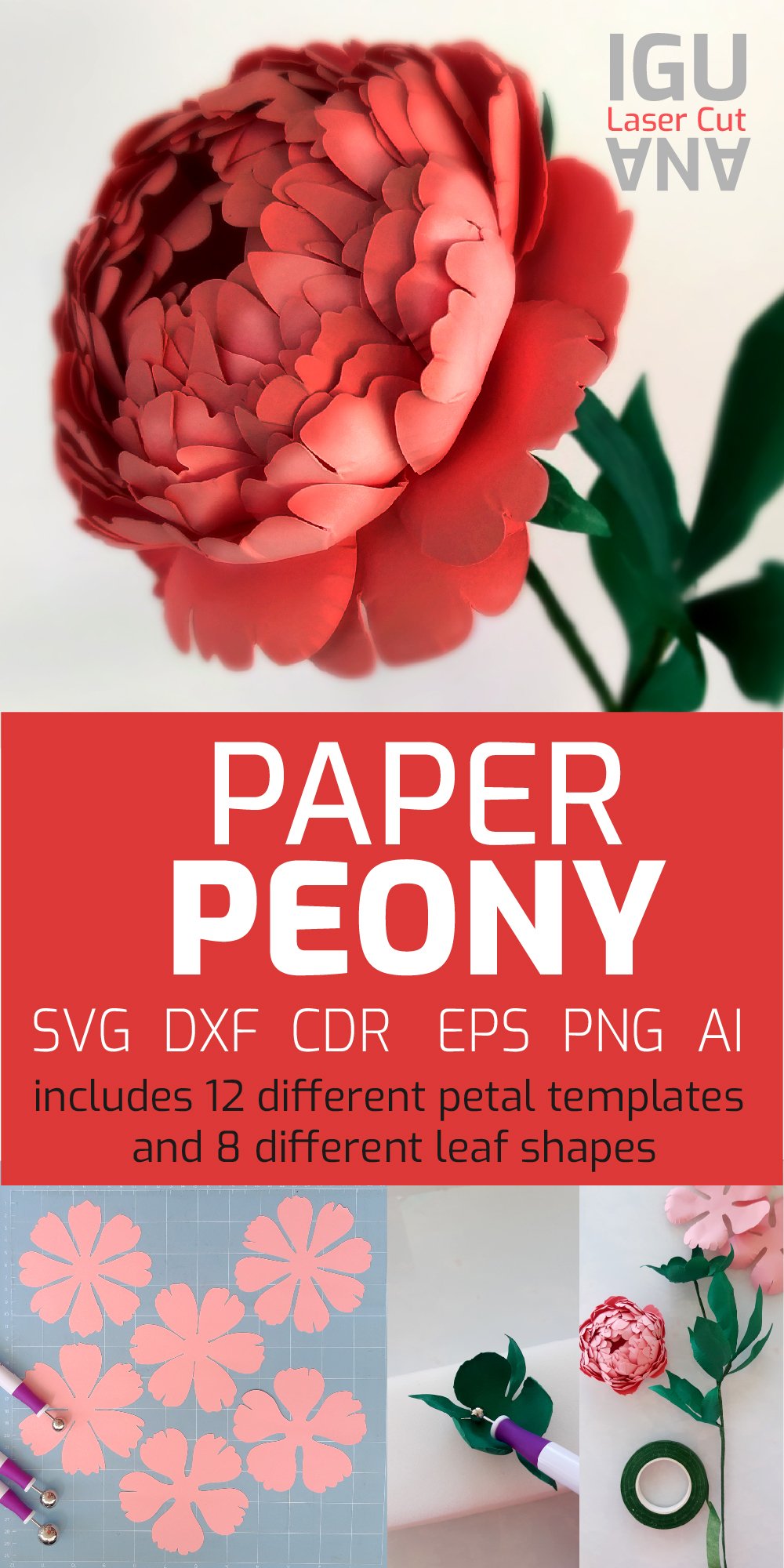 Peony Paper Flower SVG Template | DIY Wedding paper Bouquet