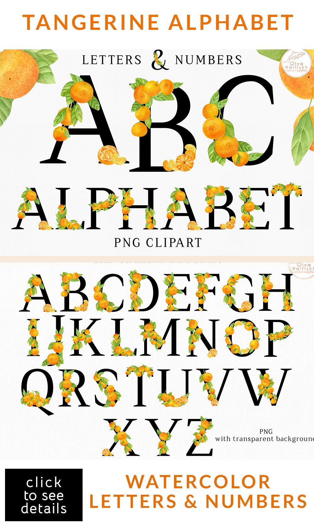 Citrus Alphabet Clipart. Watercolor Fruit Letters PNG