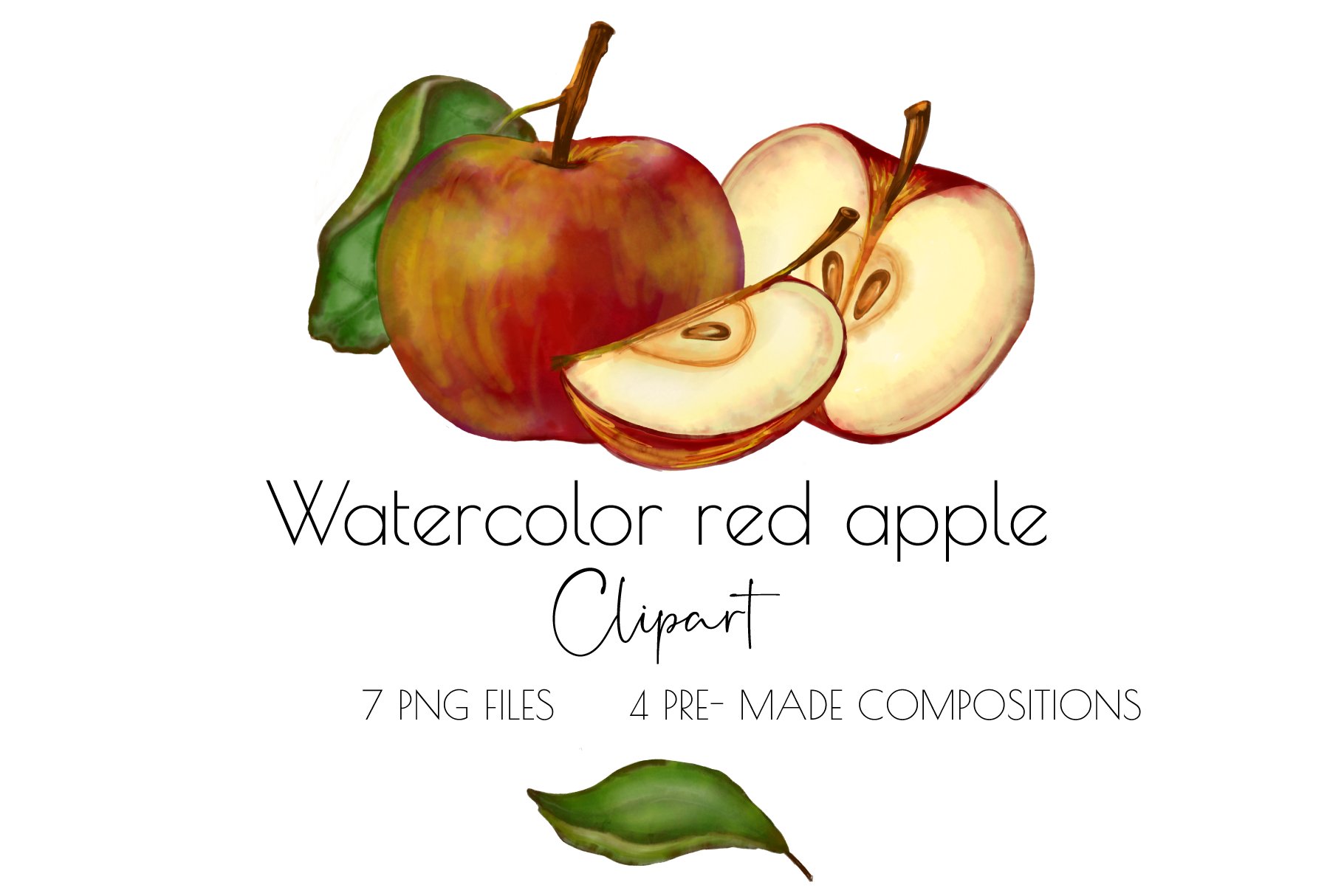Apple clipart,watercolor clipart ,fruit clipart ,watercolor