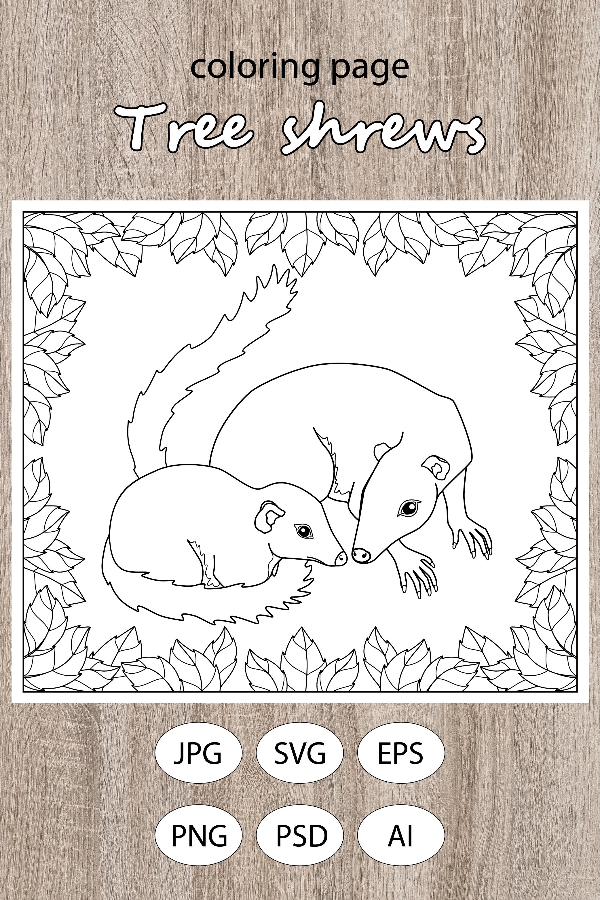 Adult tree shrews with her cub - coloring page