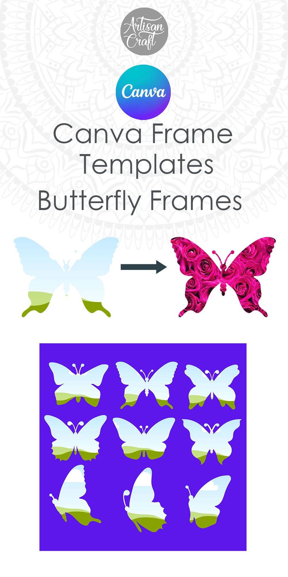 Canva Butterfly frame | Canva frame | butterfly silhouette