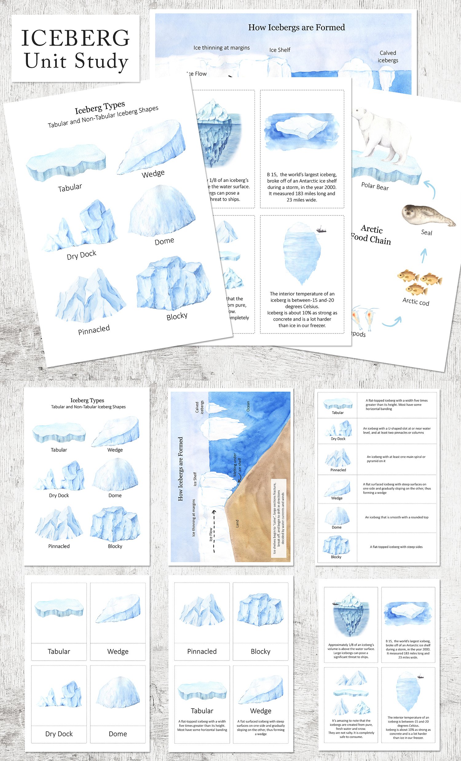 Iceberg Unit Study, Winter Educational materials printable
