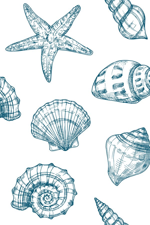 Seashells seamless pattern. Sea shell summer ocean texture.