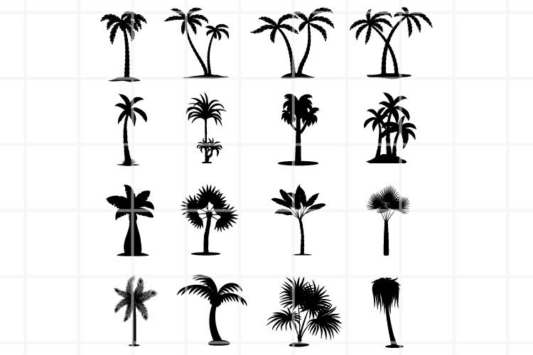Palm SVG. Summer svg. Beach svg. Palm clipart. (1321872)