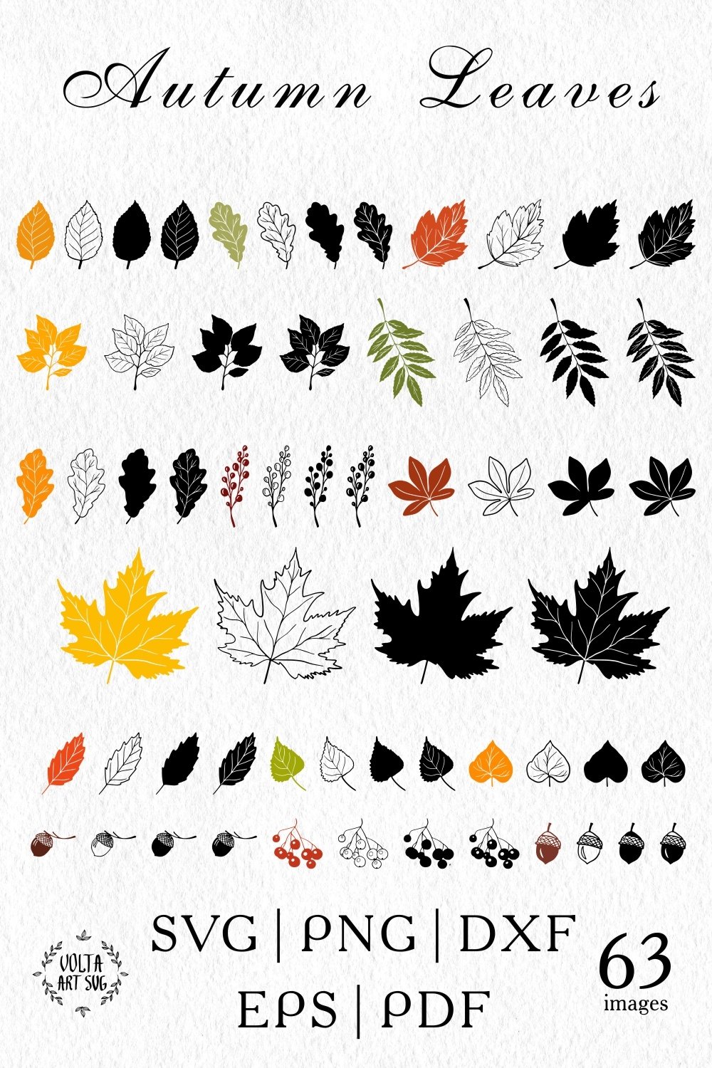 Autumn leaves svg. Floral SVG bundle. Fall Leaves (1460150)