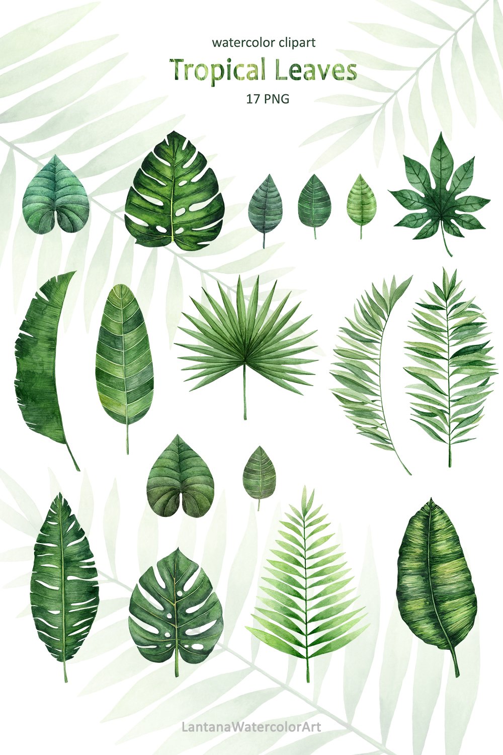 Watercolor Tropical Leaves Clipart (1954093)