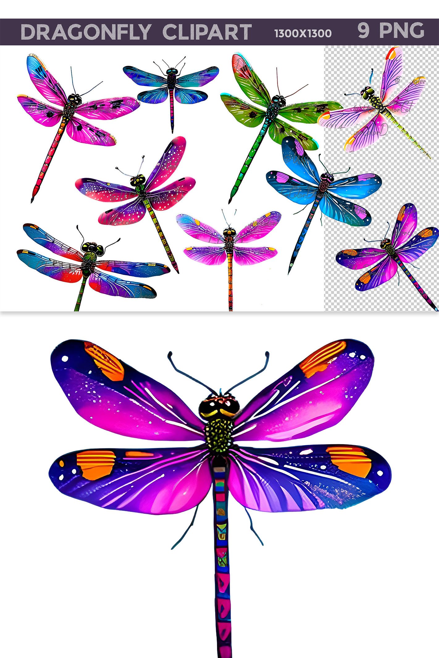 Colorful Dragonfly Clipart Black