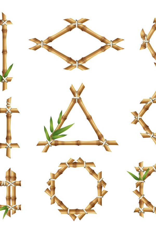 Bamboo frames. Geometric forms of nature bamboo rustic plant