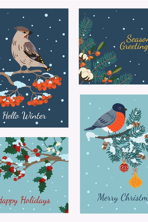 Winter birds cards. Christmas snowy banners with cute flying