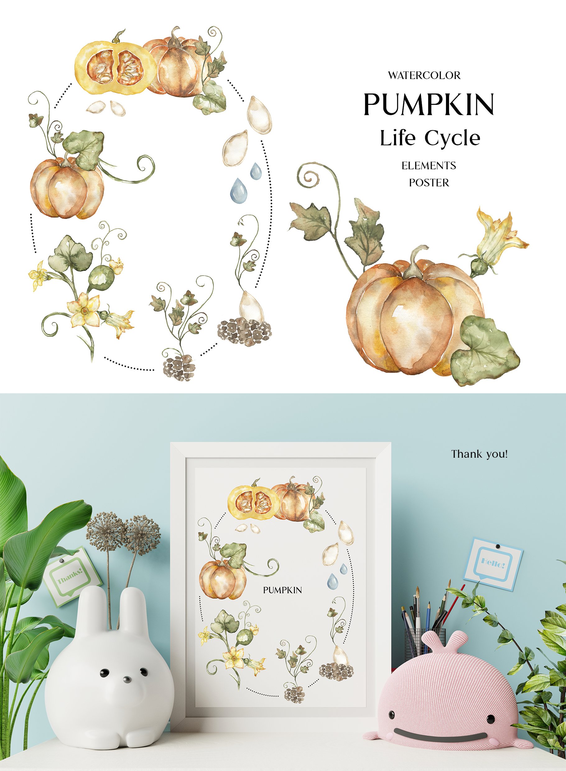 Watercolor Pumpkin Life Cycle Set Bundle