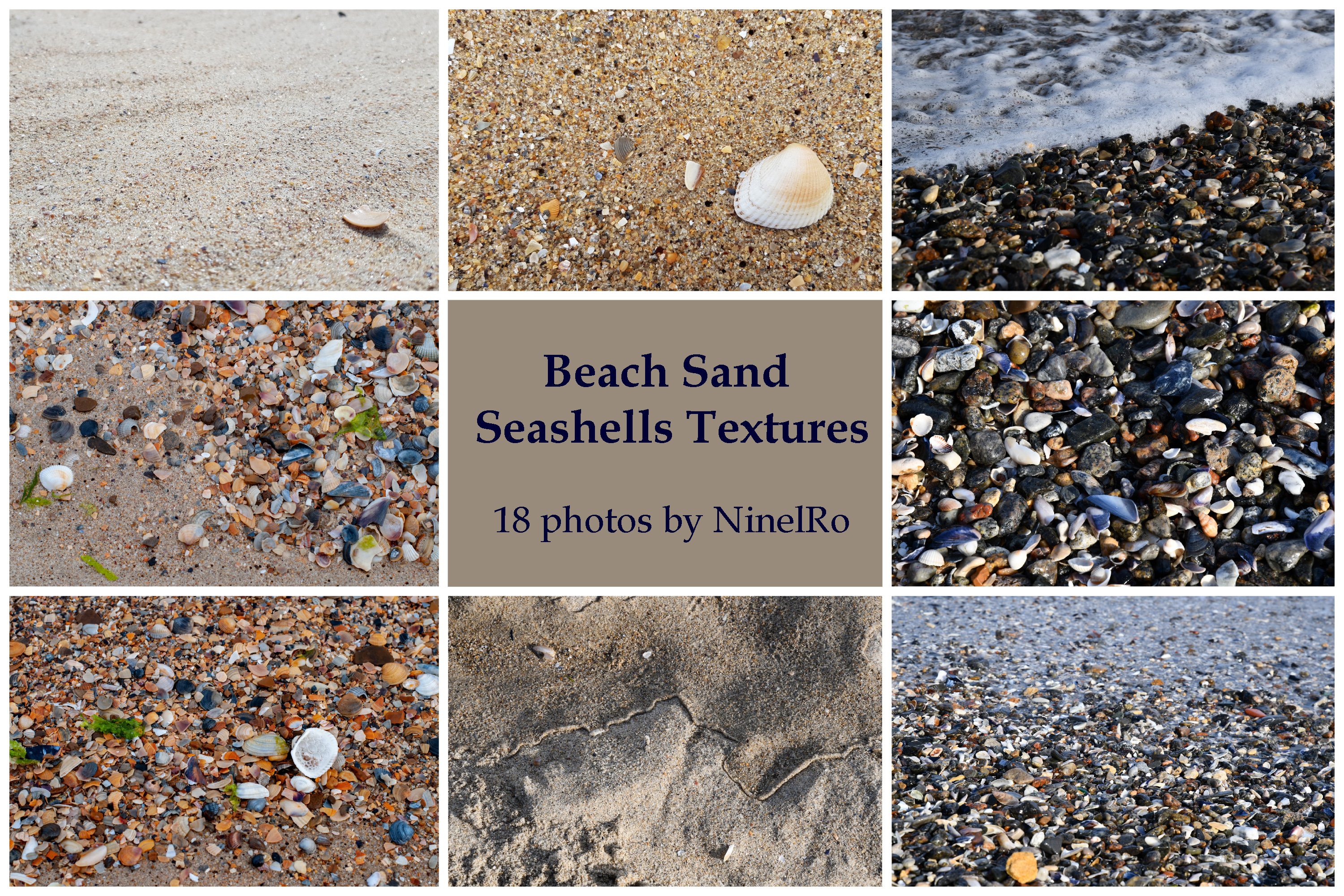 Set of 18 Summer Beach Photo Texture Background of Seashells