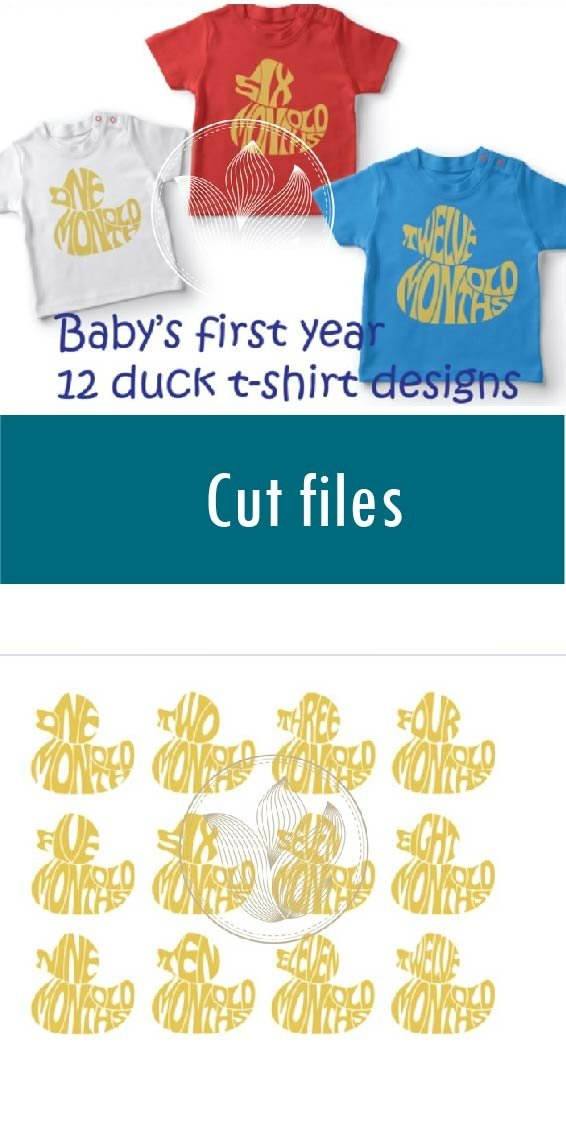 Baby's first year |Baby Duck Milestone