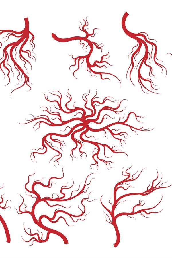 Veins and capillary icons set