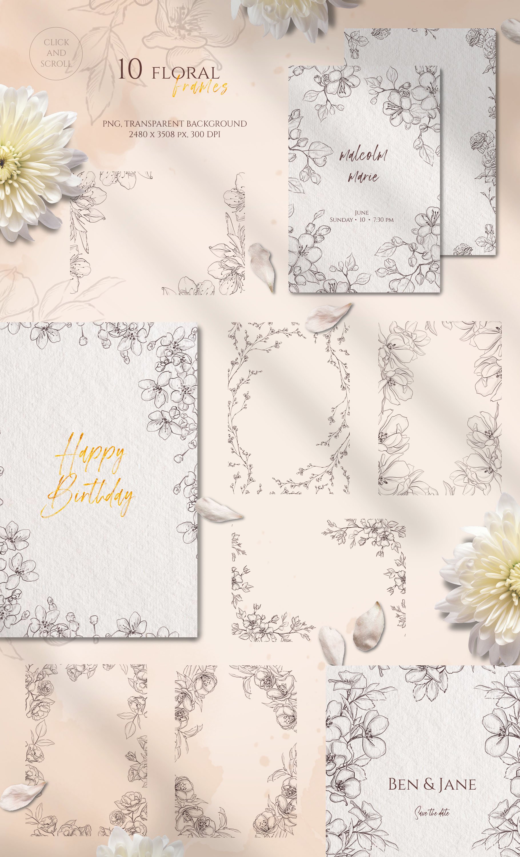 Line art floral frames (2112100)