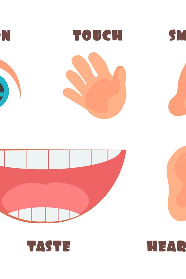 Human senses cartoon vector icons with eye, nose, ear, hand,