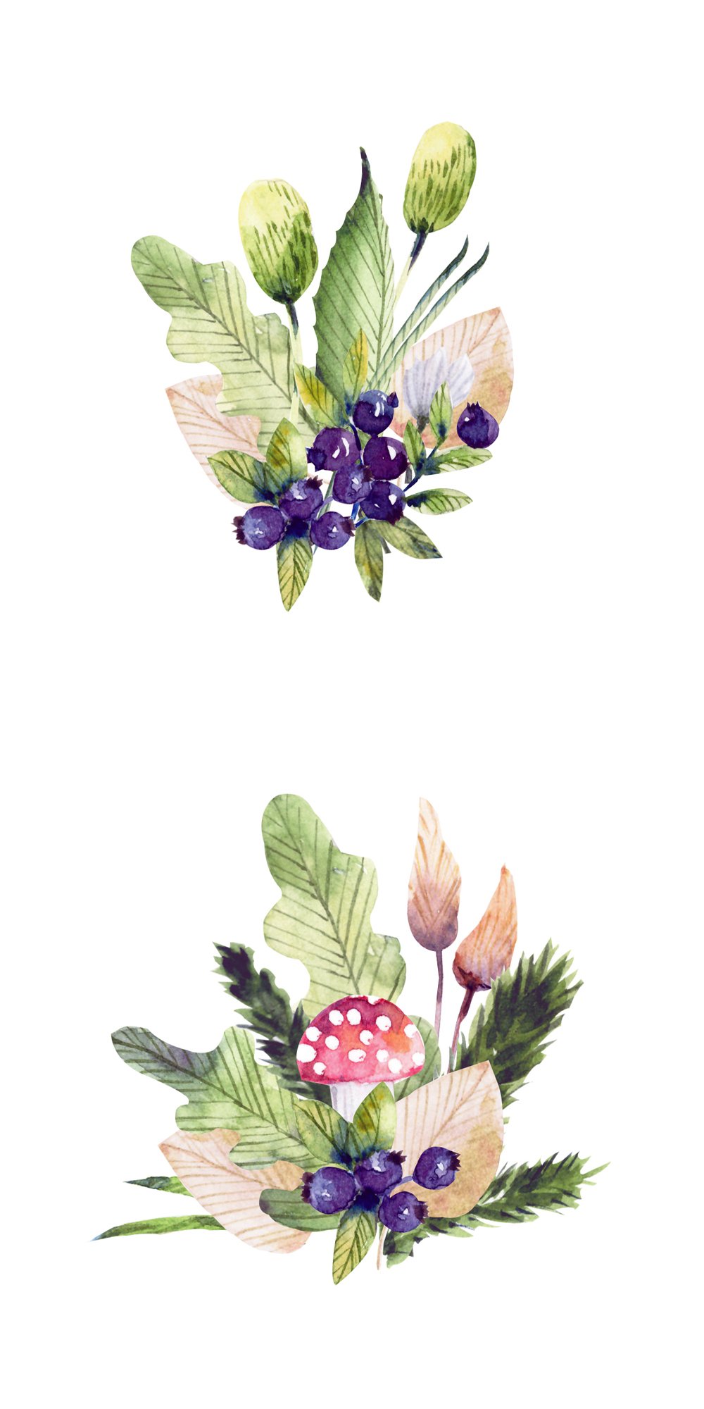 Wild Berries Collection of patterns and illustrations